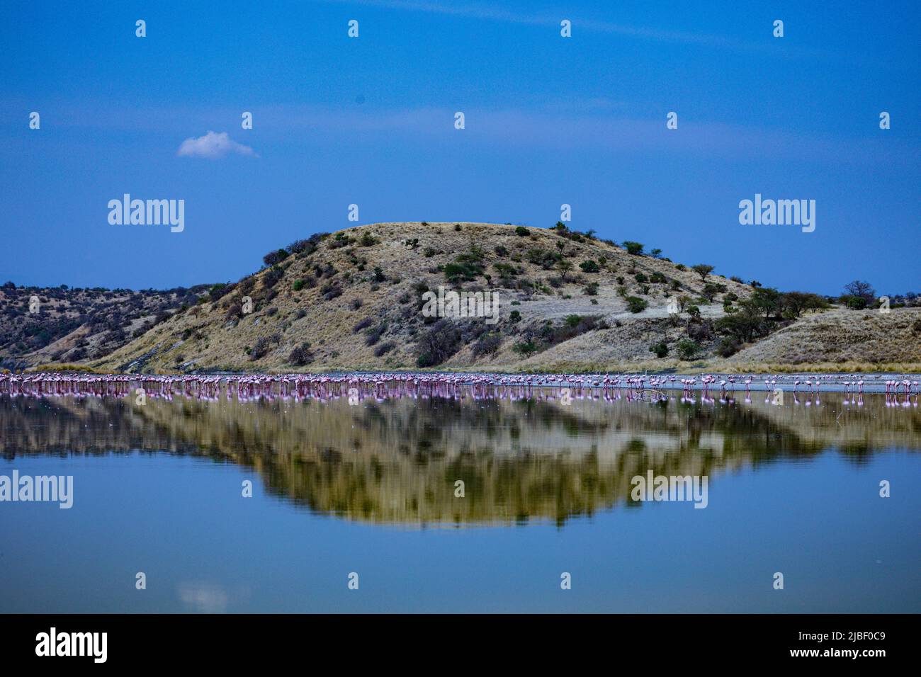 Kenyan Landscapes Lake Magadi is the southernmost lake in the Kenyan ...