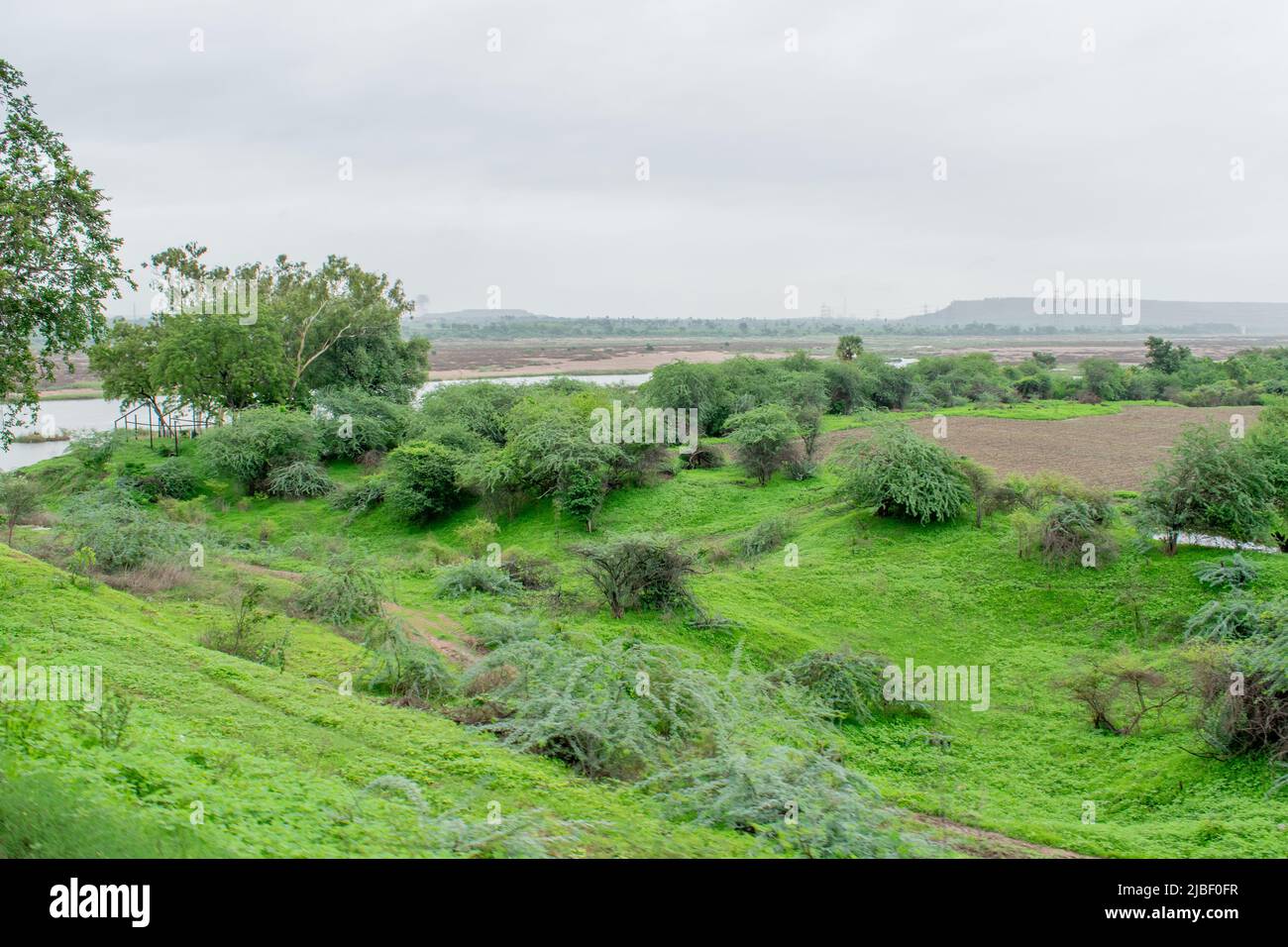 Green scenery from a train journey Stock Photo - Alamy