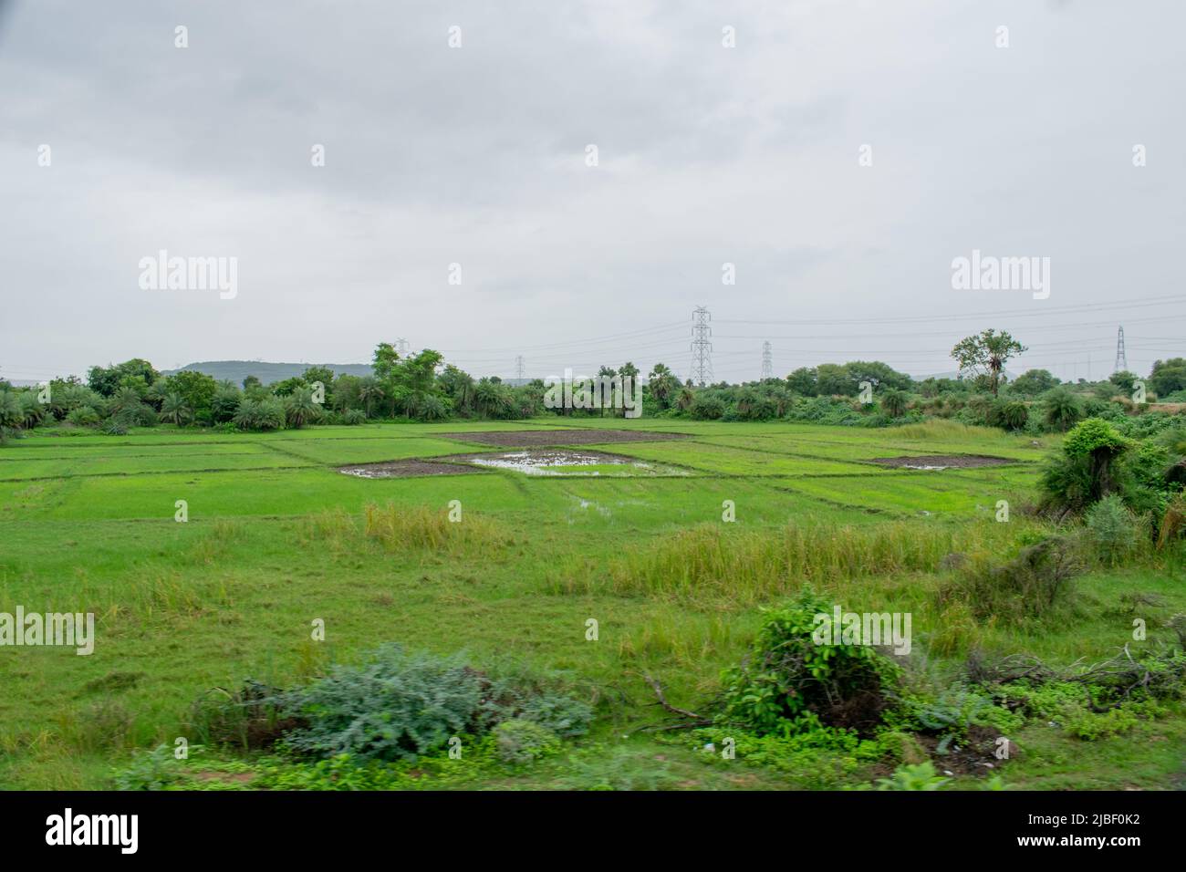 Green scenery from a train journey Stock Photo - Alamy