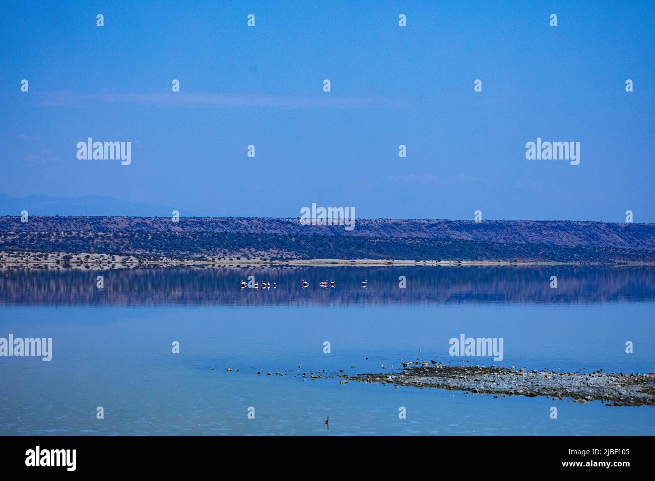 Kenyan Landscapes Lake Magadi is the southernmost lake in the Kenyan ...