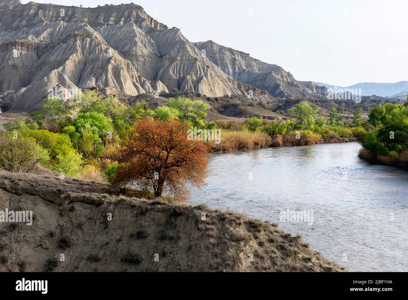 Beautiful semidesert landscape around alazani river in spring time ...