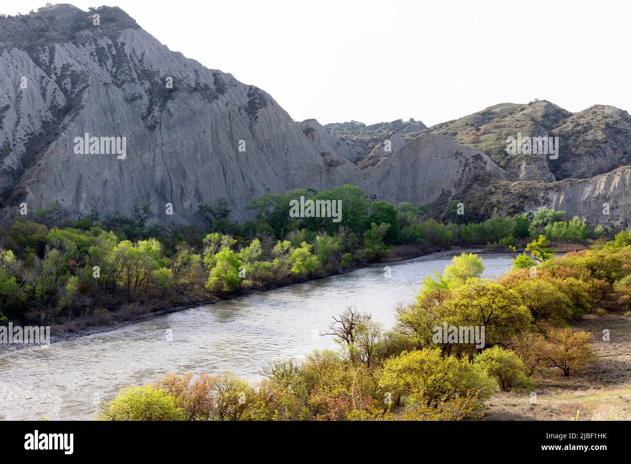Beautiful semidesert landscape around alazani river in spring time ...