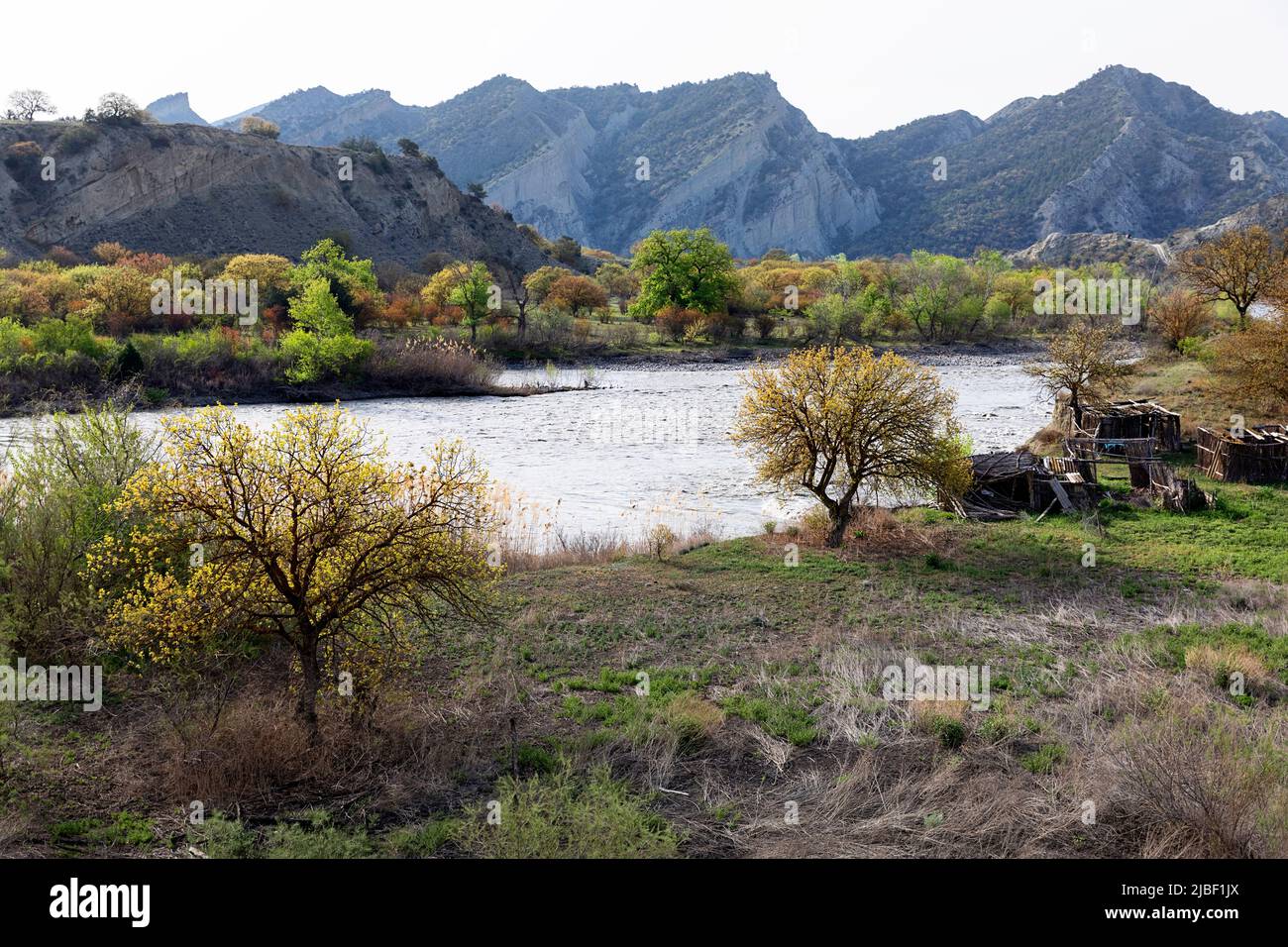 Beautiful semidesert landscape around alazani river in spring time ...