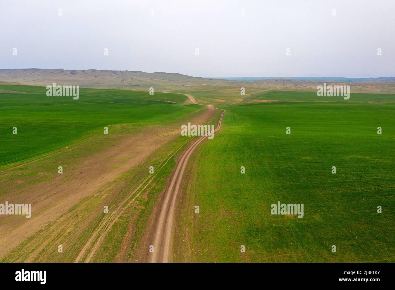 Grassy steppes hi-res stock photography and images - Alamy