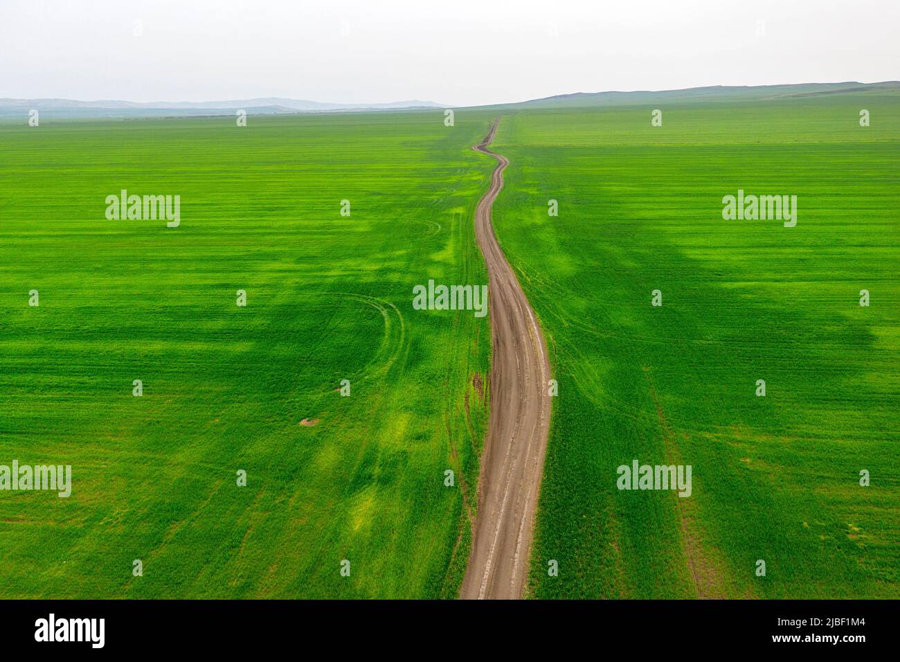 Beautiful wheat fields between Dedoplis Tskaro and Vashlovani national ...