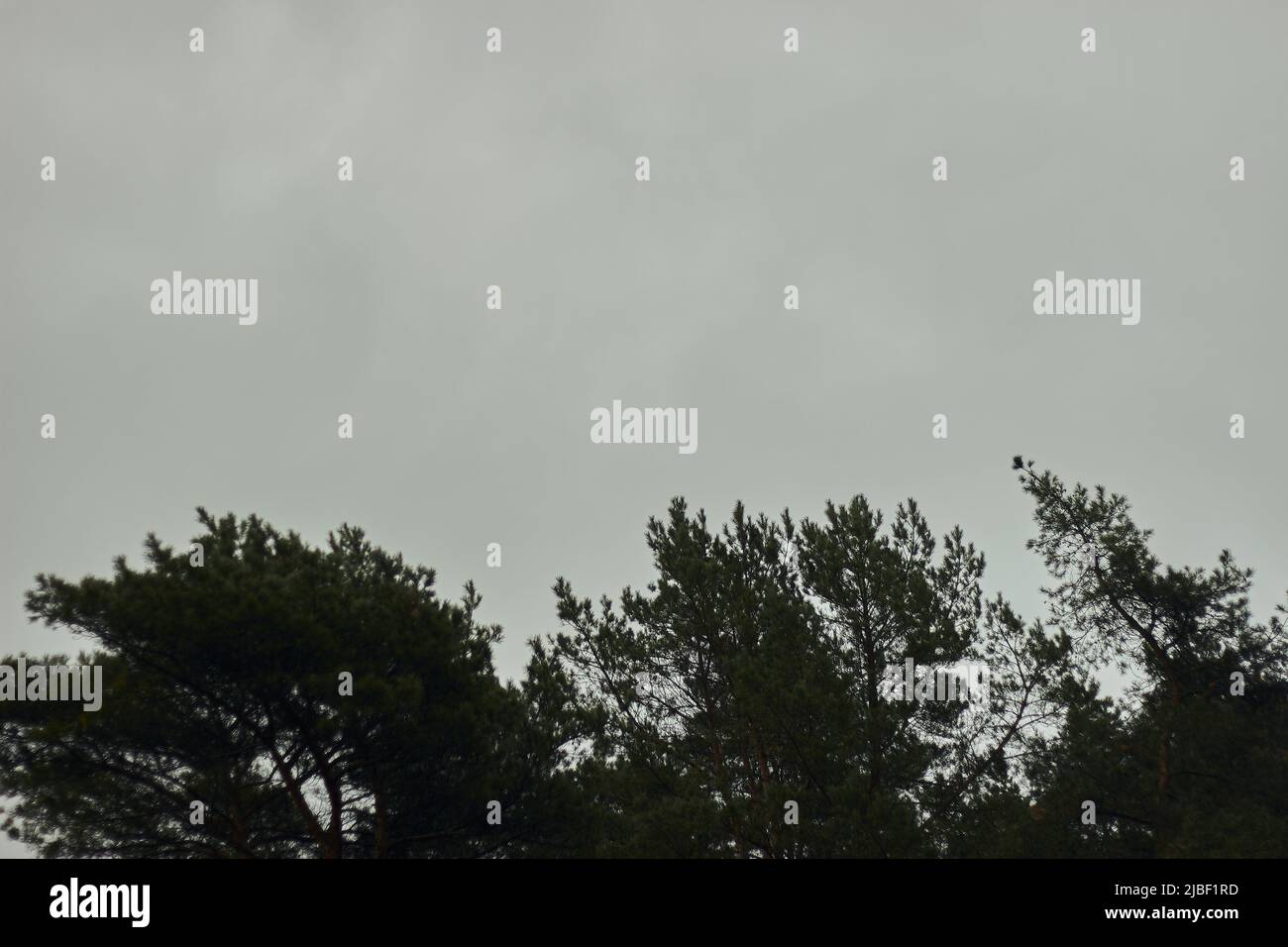 Grey sky background hi-res stock photography and images - Alamy