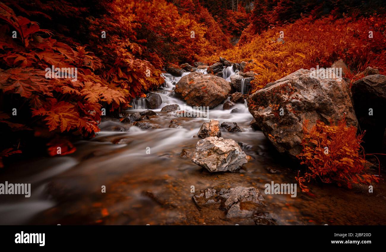 River waterfall landscape photography in the Autumn season in north ...