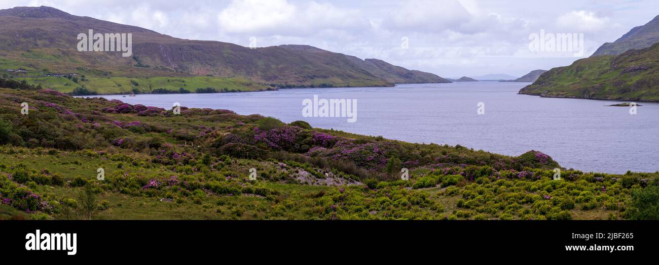 panoramic view on Killary Fjord Stock Photo - Alamy