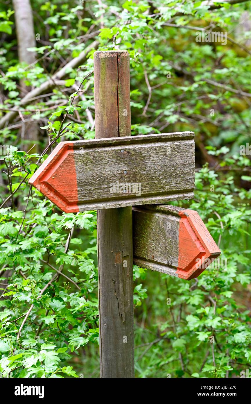 orange trail markings of wooden arrows in forest Stock Photo - Alamy