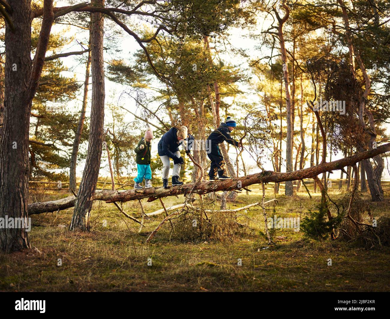 Mother daughter climbing tree hi-res stock photography and images - Alamy