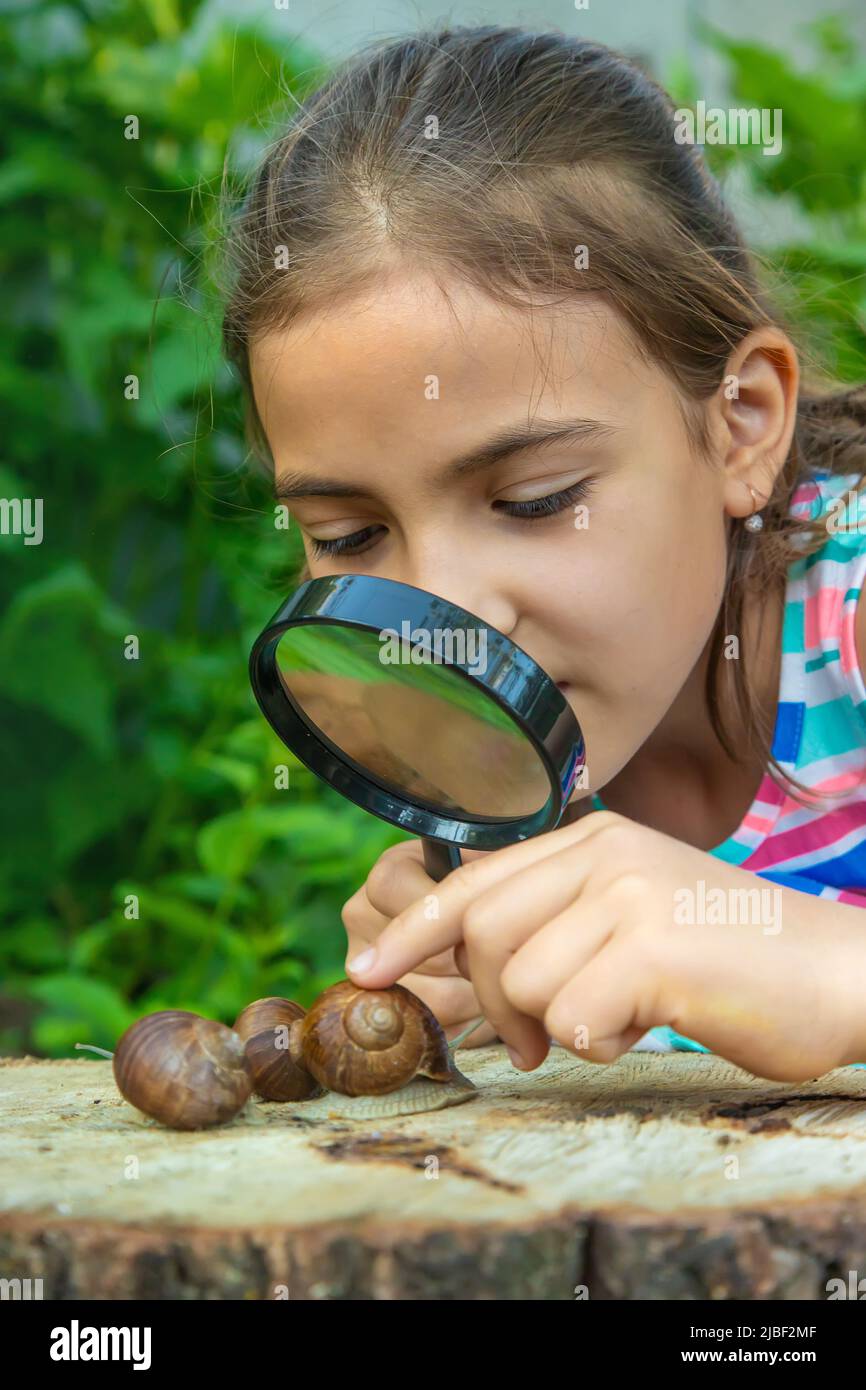 The child examines the snails on the tree. Selective focus Stock Photo ...