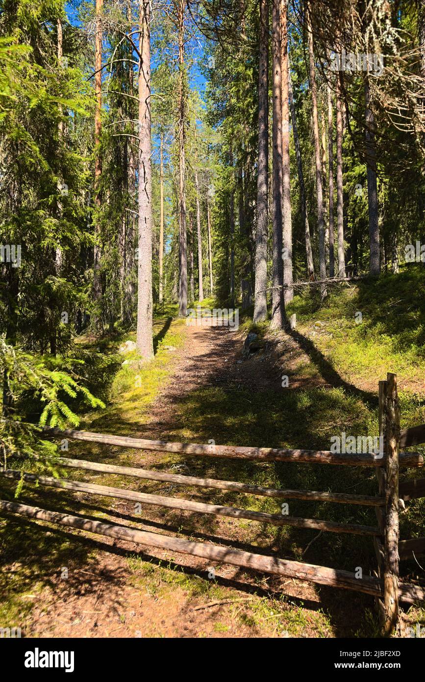Rural gate leading into a nature reserve in northern Sweden Stock Photo ...