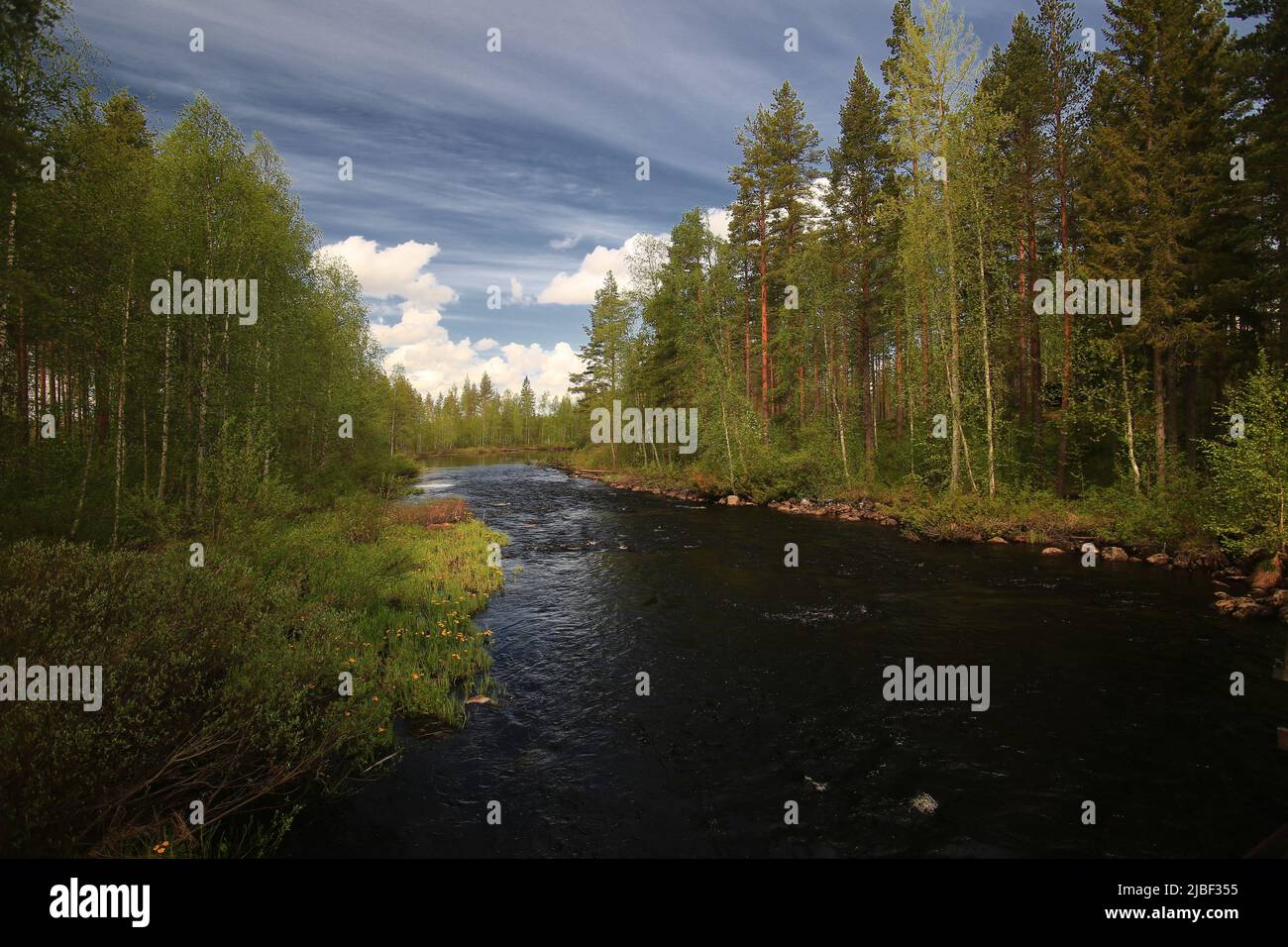 The small idyllic stream Parlstrom in northern Sweden Stock Photo - Alamy