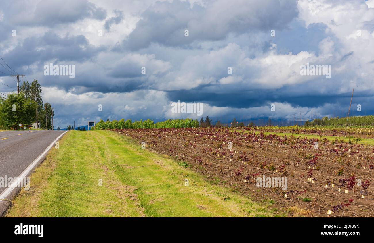 Rural landscape stormy weather hi-res stock photography and images - Alamy
