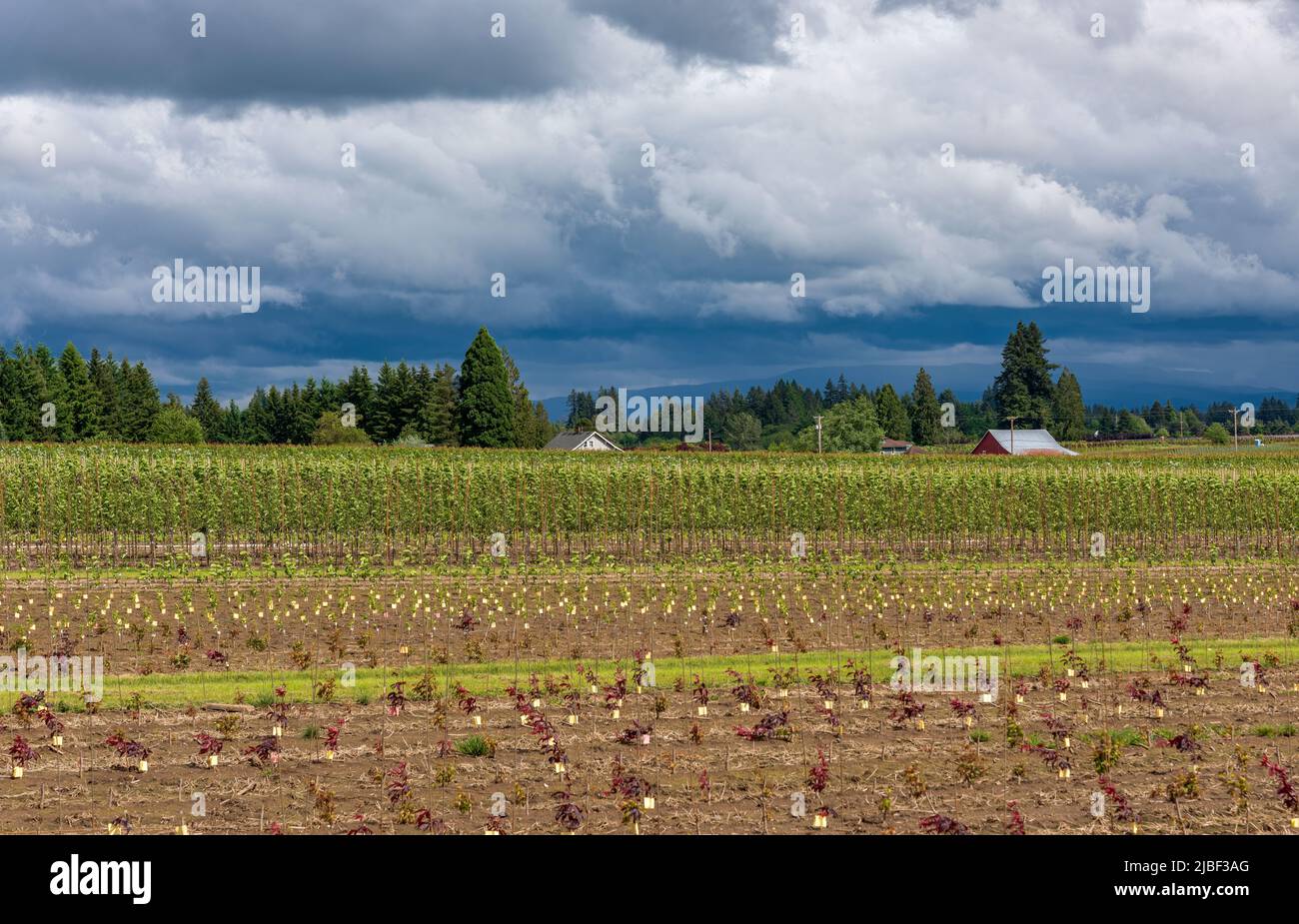 Rural landscape stormy weather and fields Oregon state Stock Photo - Alamy