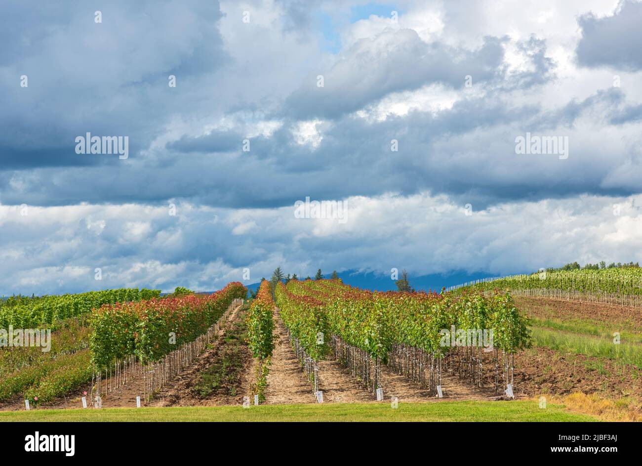 Rural landscape stormy weather and fields Oregon state Stock Photo - Alamy