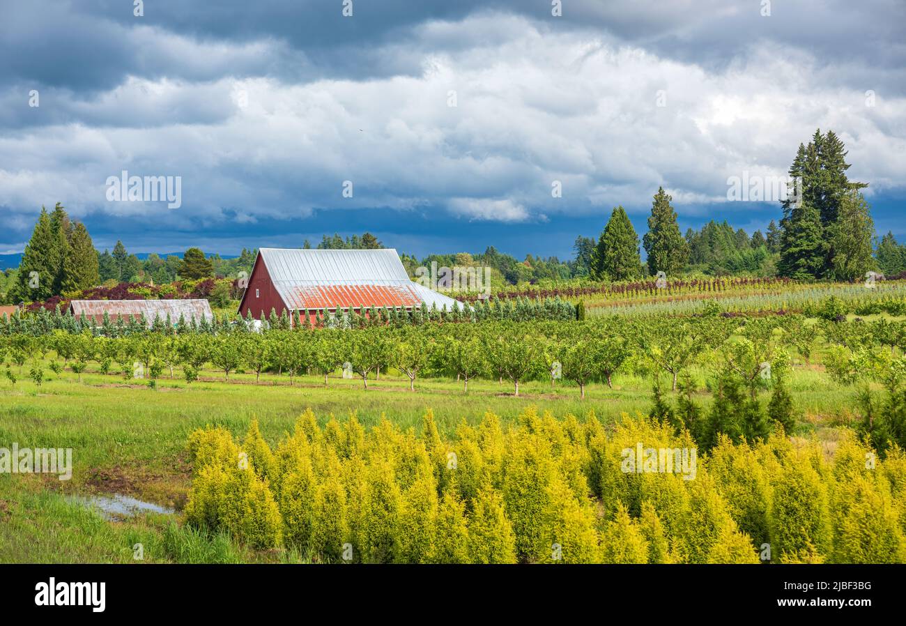 Rural landscape stormy weather and fields Oregon state Stock Photo - Alamy
