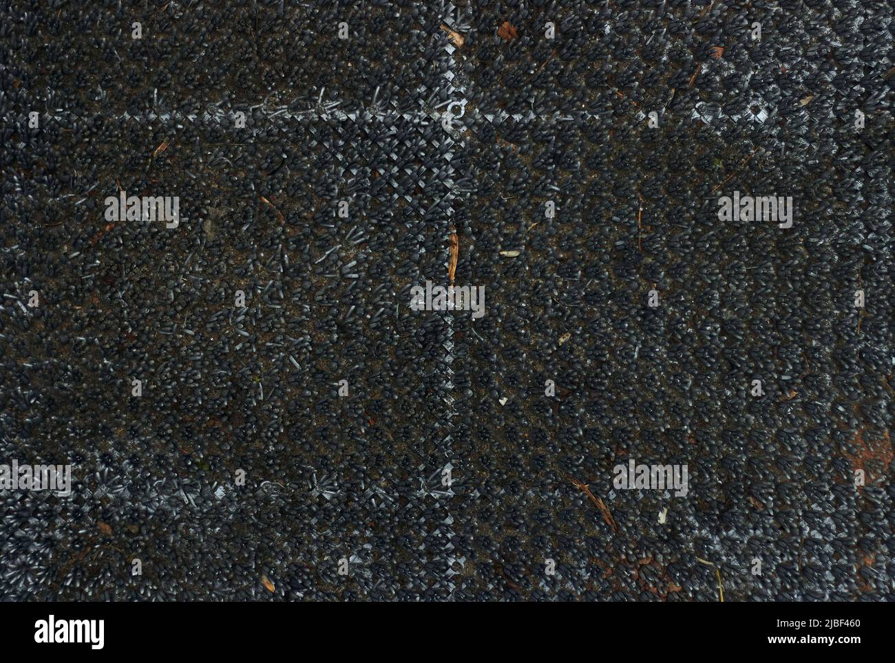 Old plastic texture background hi-res stock photography and images - Alamy