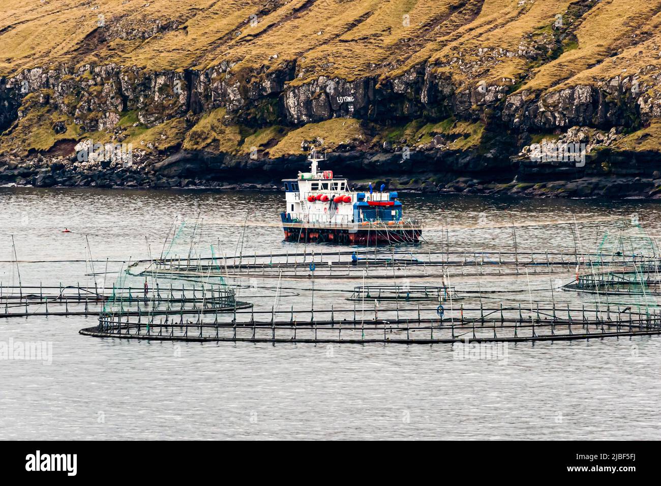 Fish farm in Tórshavn, Faroe Islands Stock Photo - Alamy