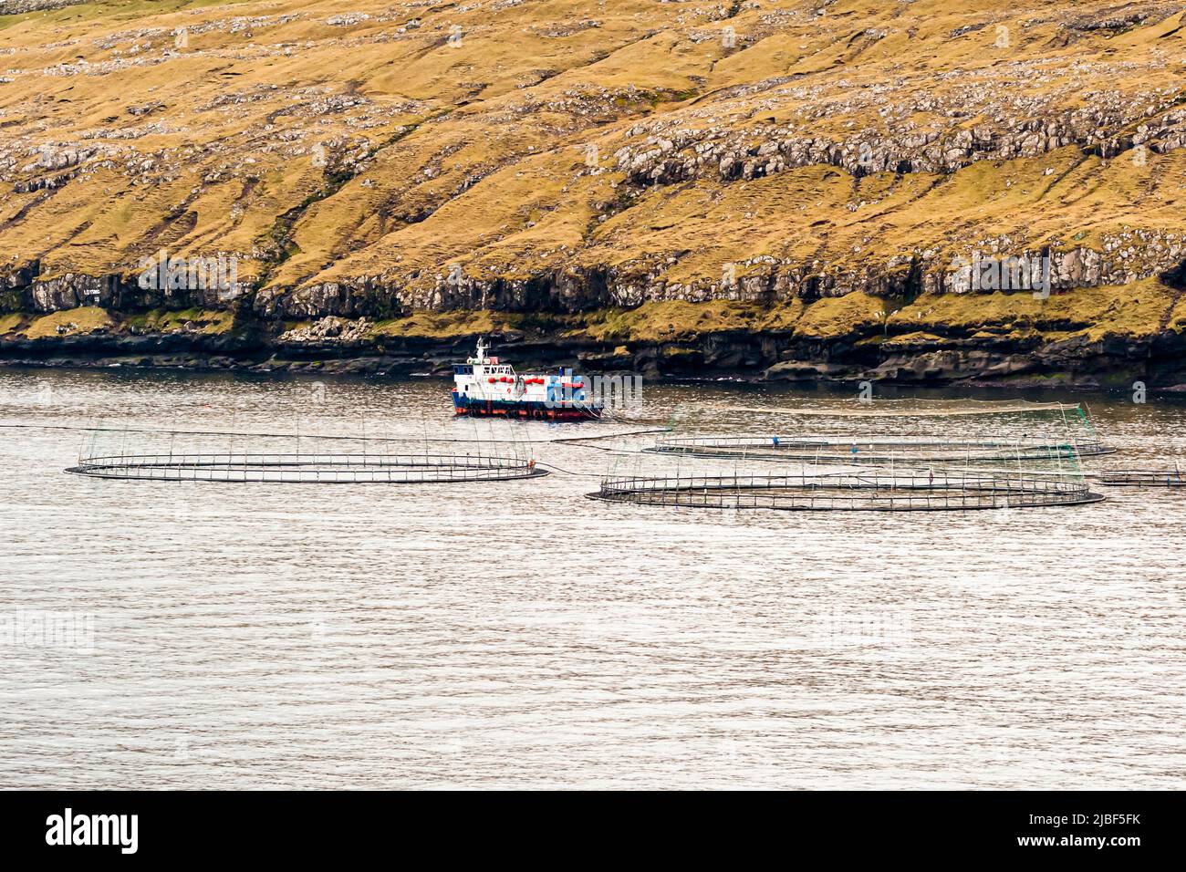 Fish farm in Tórshavn, Faroe Islands Stock Photo - Alamy