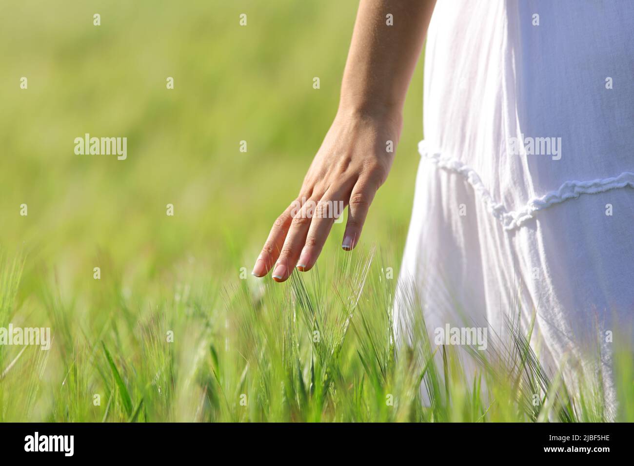 Back view close up portrait of a woman hand with white dress touching ...