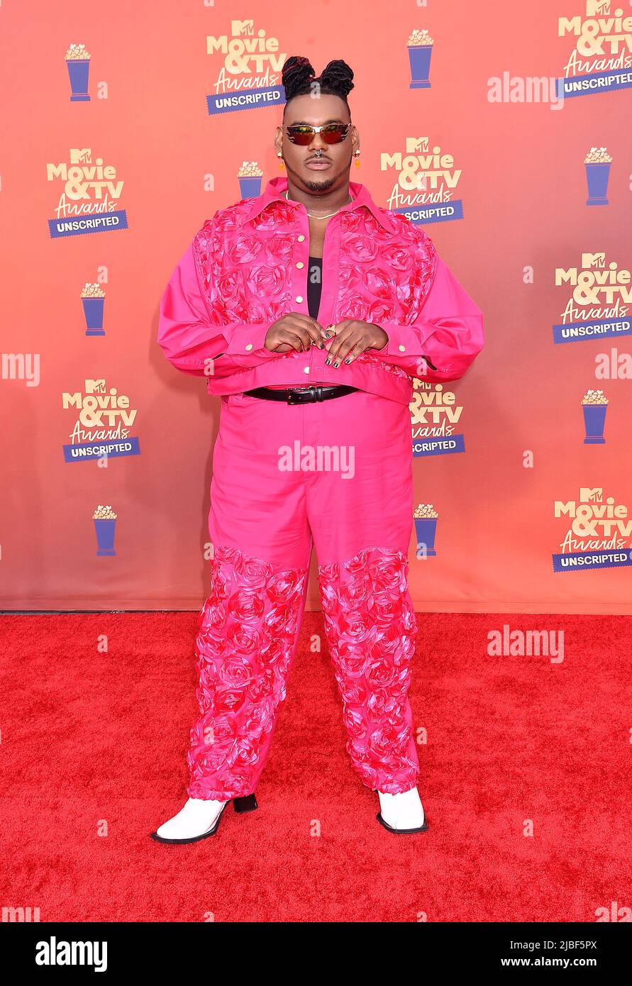 SANTA MONICA, CA - JUNE 02: Ryan Mitchell attends the 2021 MTV Movie ...