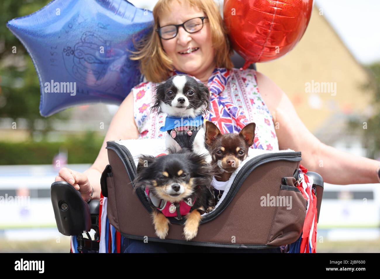 Peterborough, Cambs., UK, 04/06/2022, Trixie, Daisy and Lizzie with ...