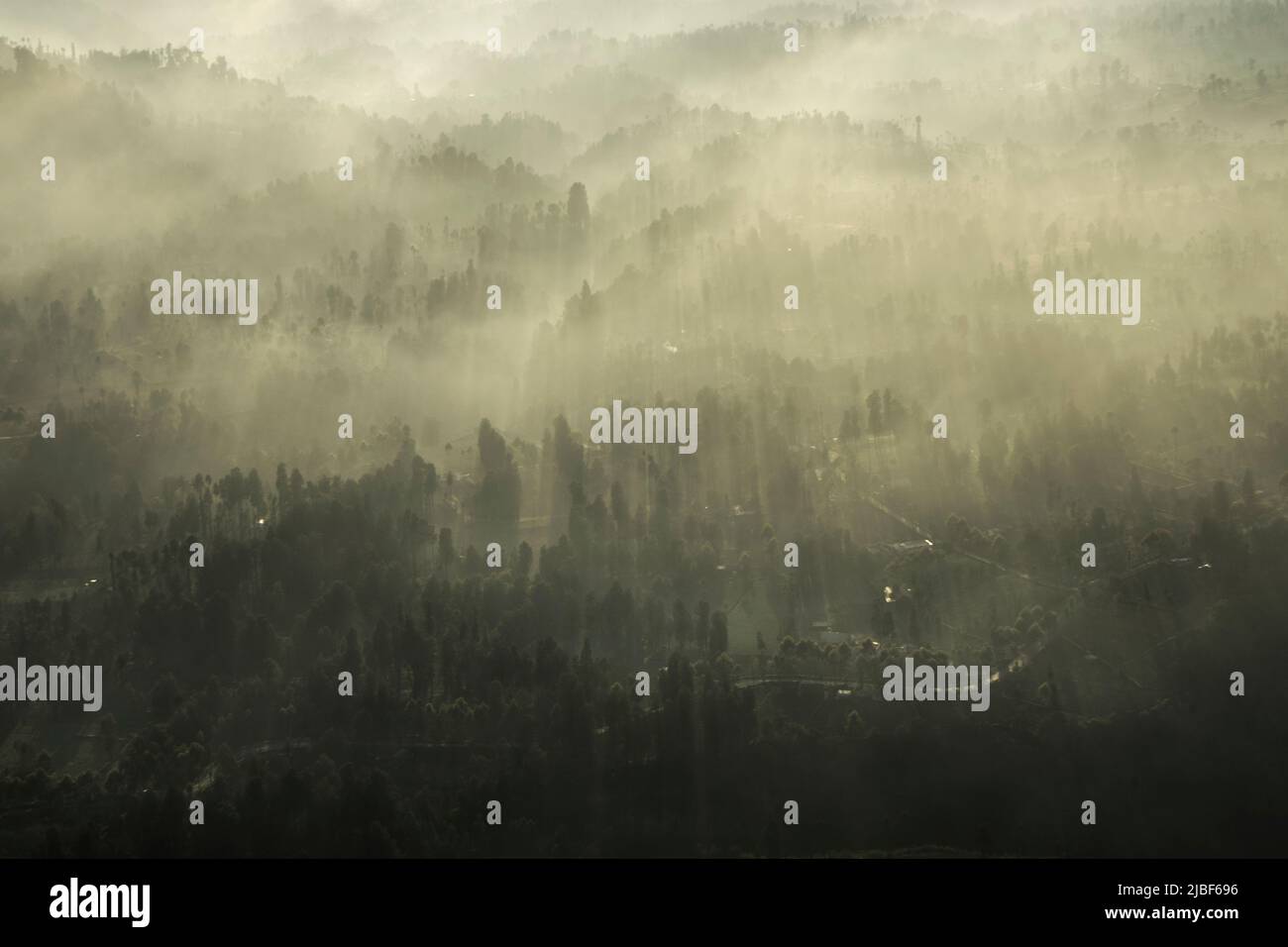 misty background with ray of light sunlight, silhouette abstract Stock ...