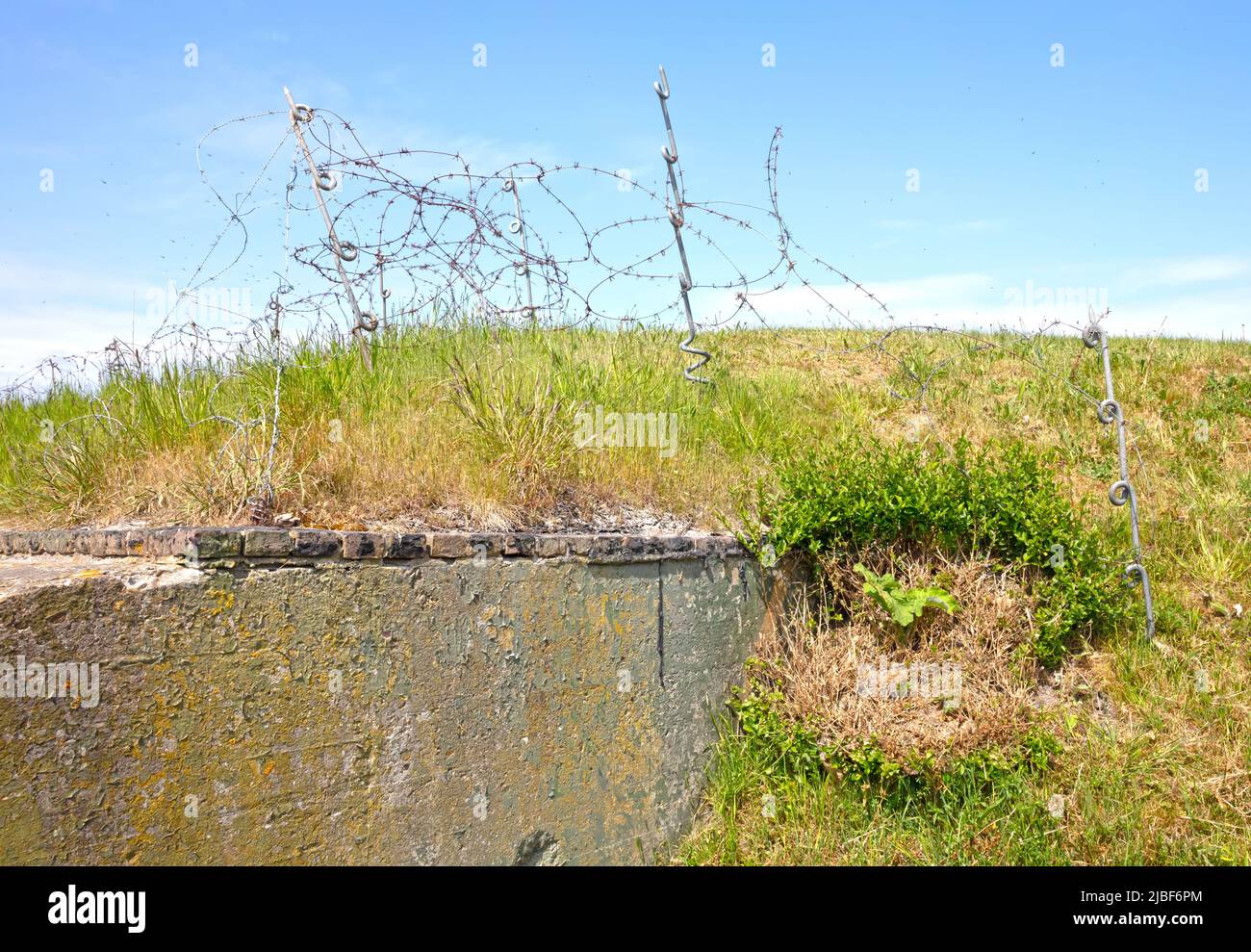 Barbed wire at an old bunker from WW2, used by the dutch and the ...