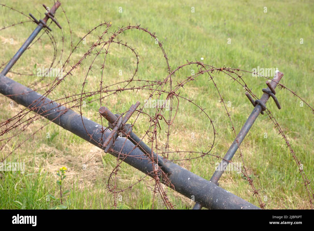 Barbed wire at an old bunker from WW2, used by the dutch and the ...