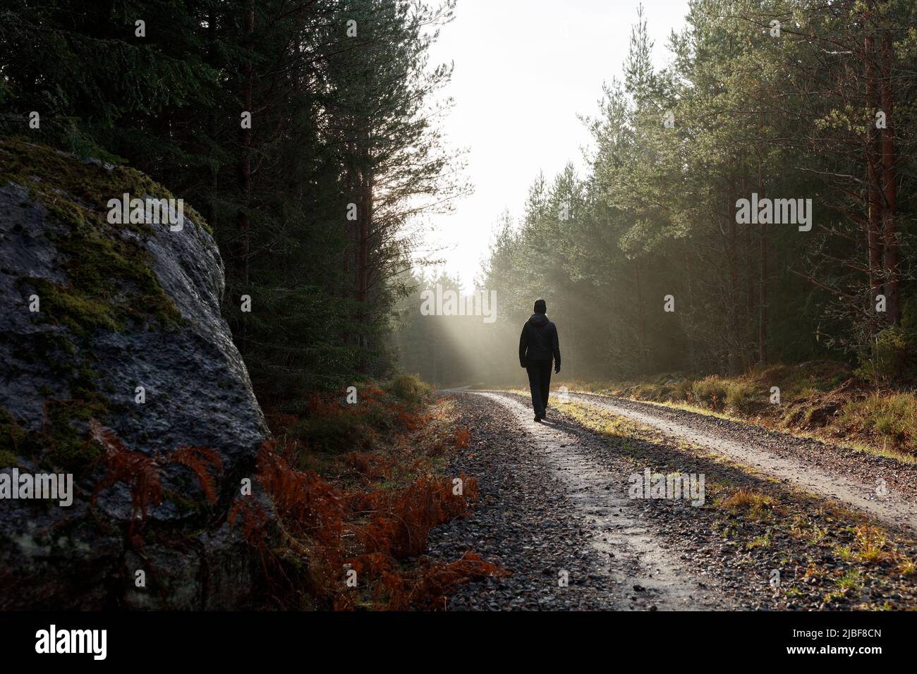 Woman walking on rural road hi-res stock photography and images - Alamy