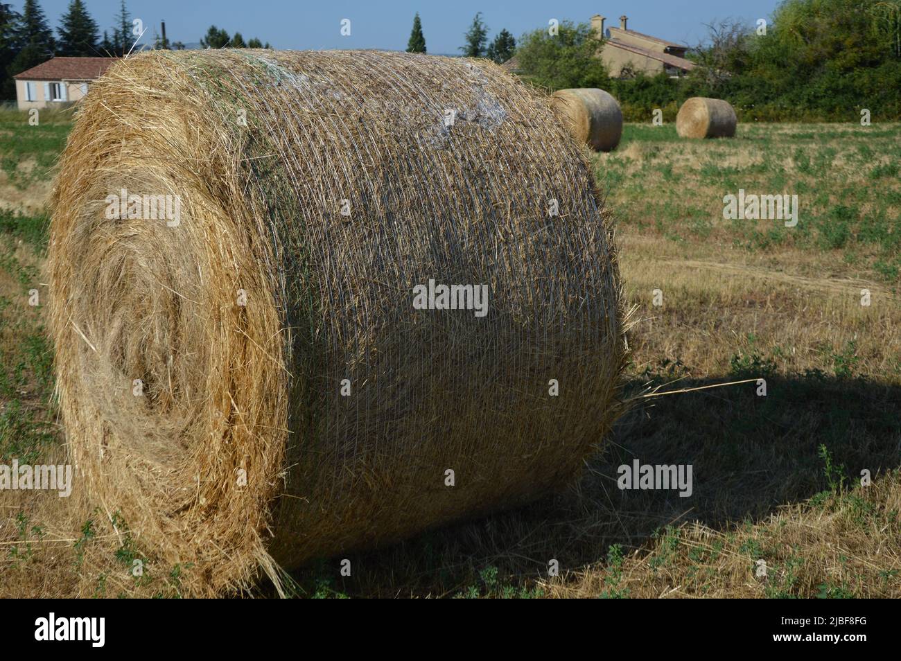 Harvest roll hi-res stock photography and images - Alamy