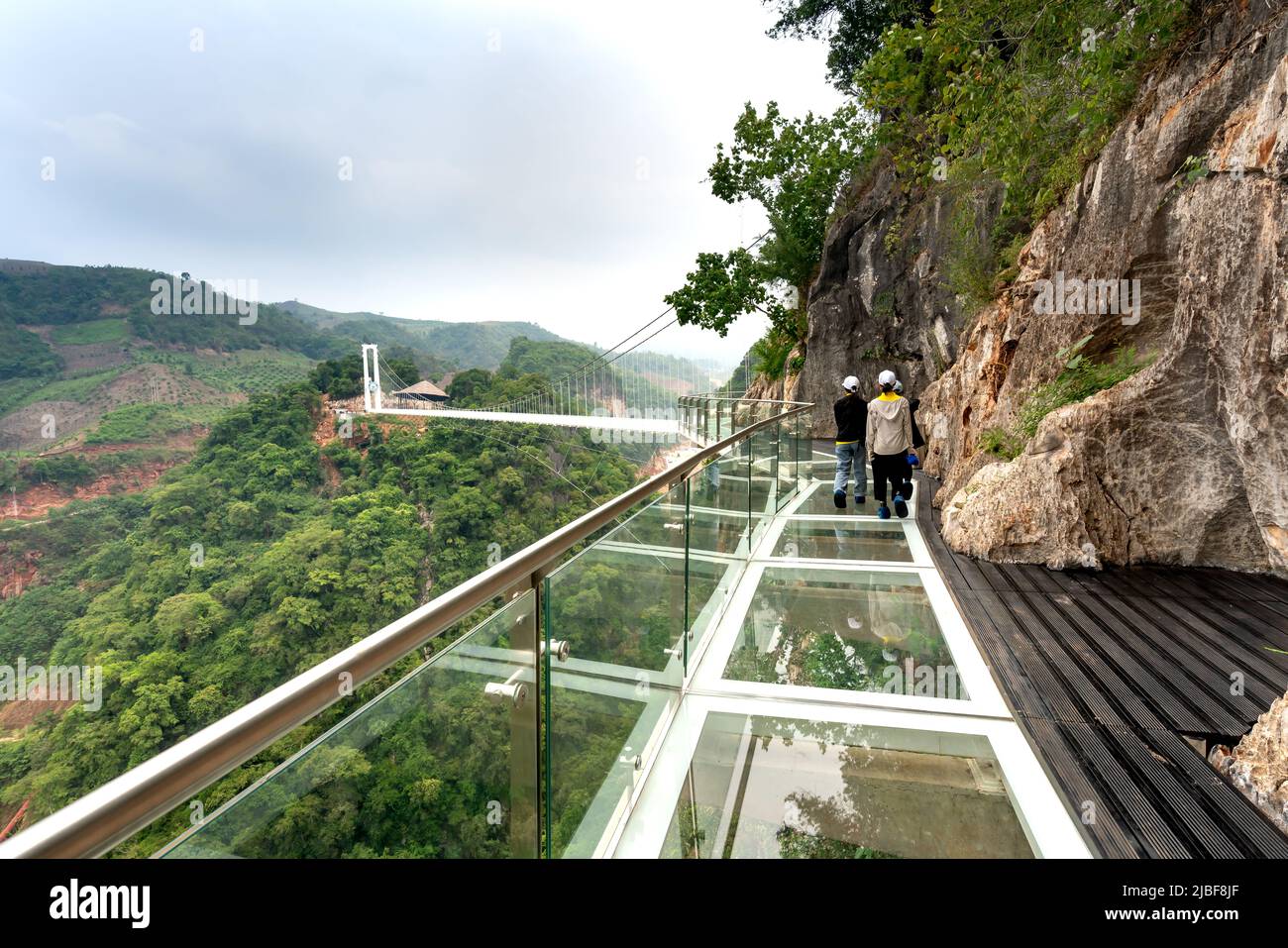 Bach Long Glass Bridge in Moc Chau District, Son La Province, Vietnam ...