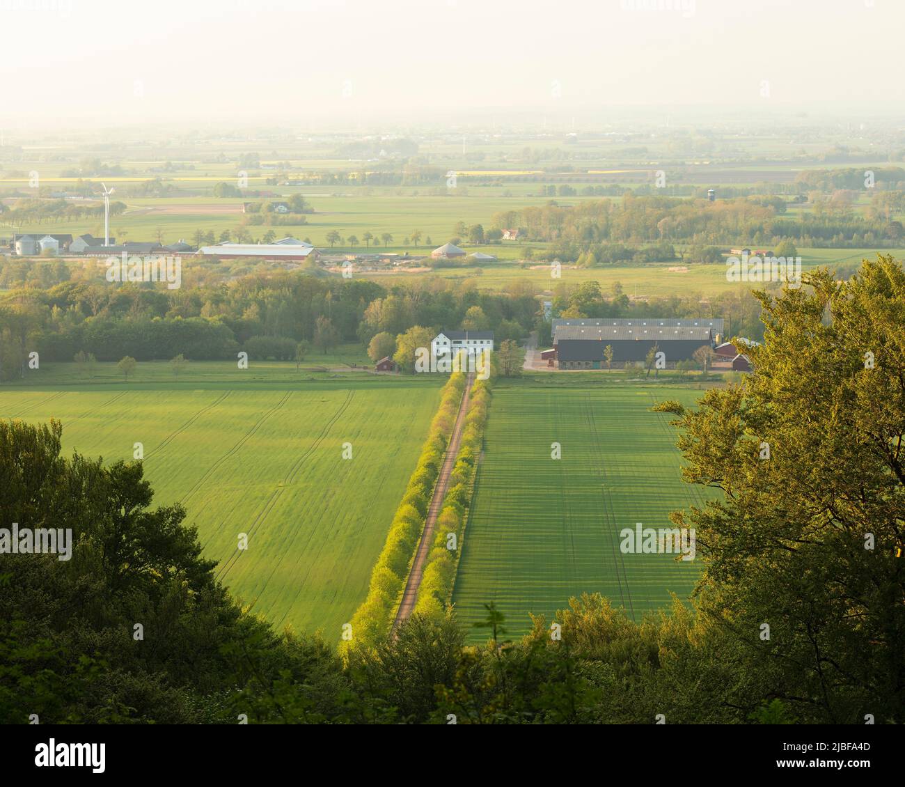 Osbecks hi-res stock photography and images - Alamy