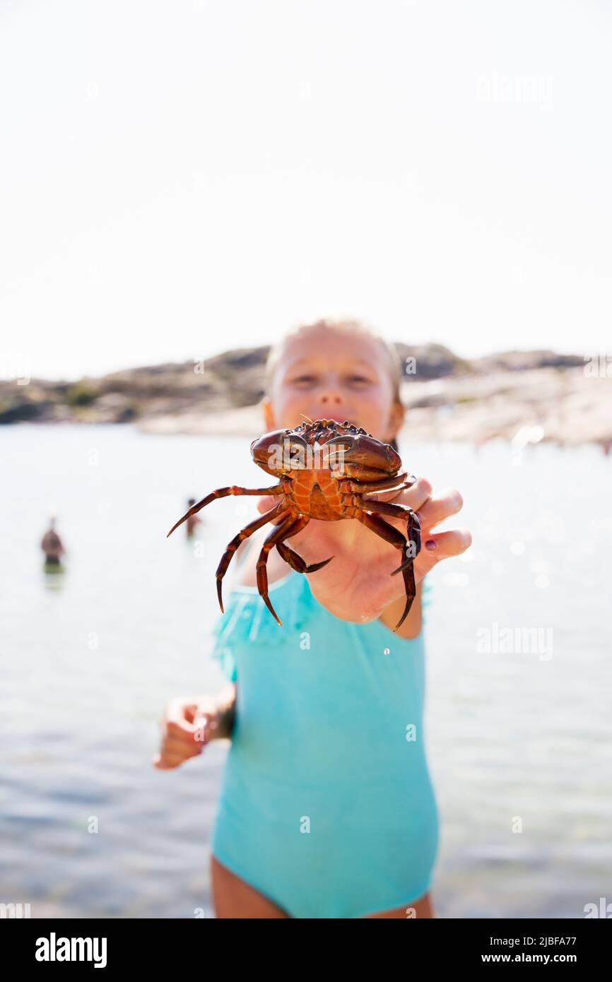 Person holding crab hi-res stock photography and images - Alamy