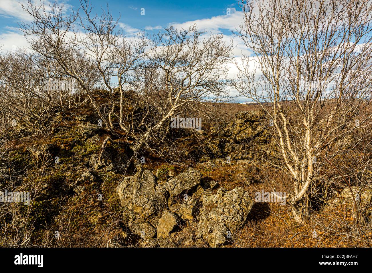 Grjótagjá (engl.: "crevice") is a cave with a small lake in Iceland ...