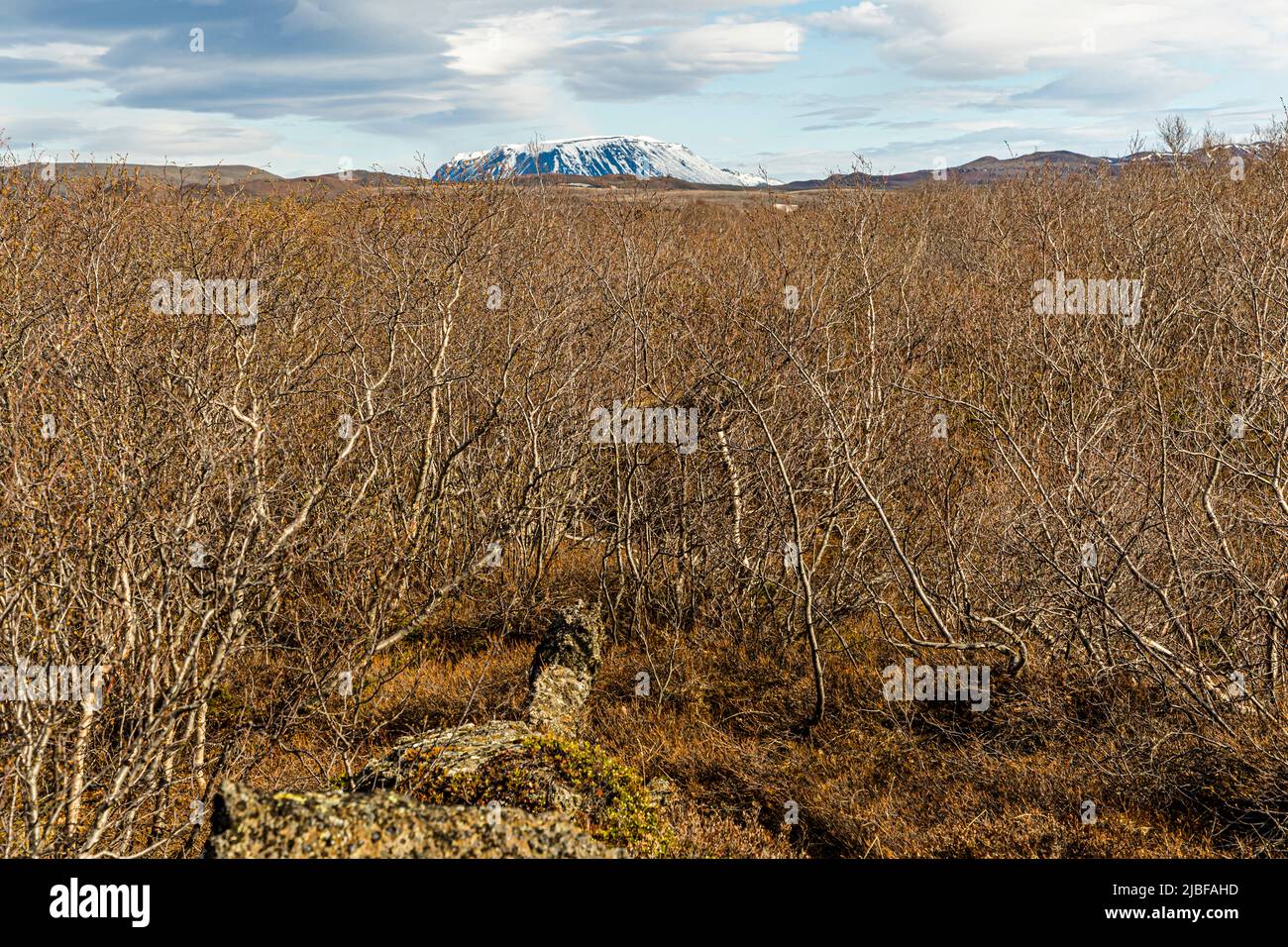 Grjótagjá (engl.: "crevice") is a cave with a small lake in Iceland ...
