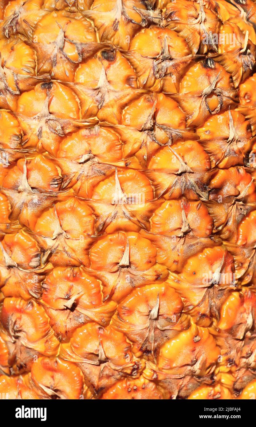 Close up of pineapple skin texture. Peel of ripe Pineapple (Ananas ...