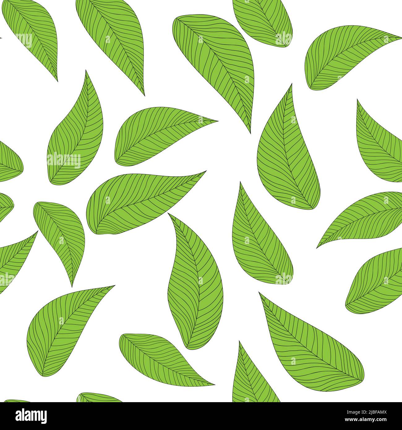 Nature background. Leaf organic concept. Natural layout design ...
