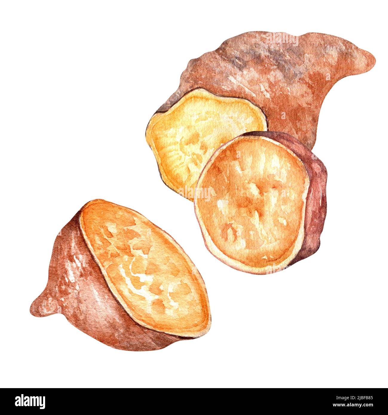 Sweet potatoes sliced watercolor illustration isolated. Batata raw red ...