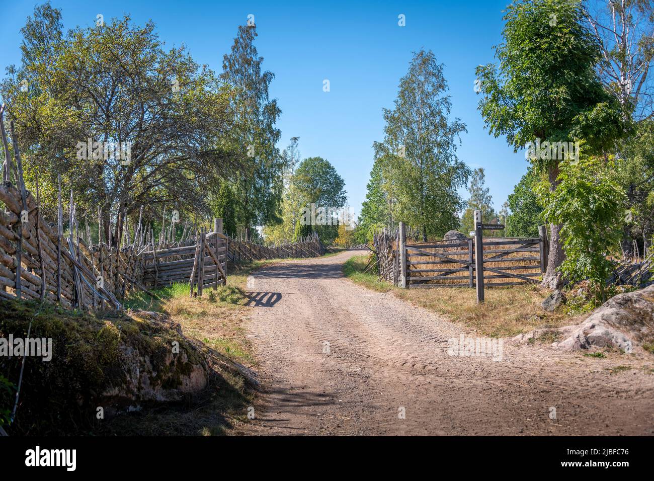Rural road with trees hi-res stock photography and images - Alamy
