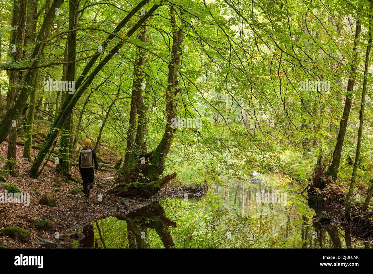 Kolva river hi-res stock photography and images - Alamy