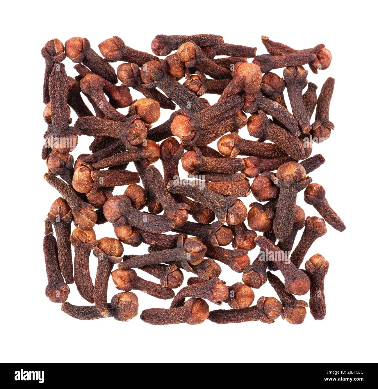 Dry cloves isolated on white background. Cloves spice. Spices and herbs ...
