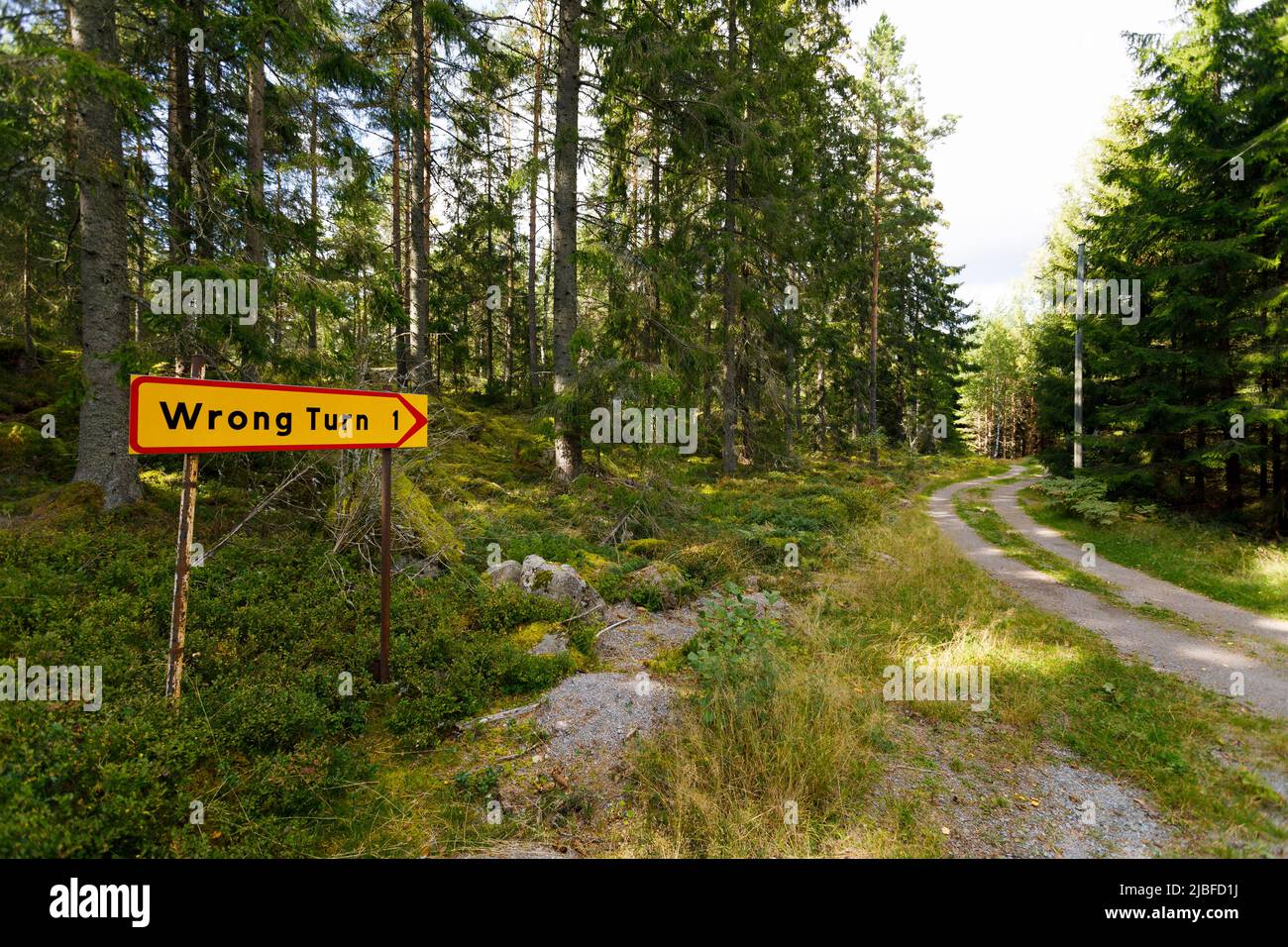 Wrong turn sign by rural road through forest Stock Photo - Alamy