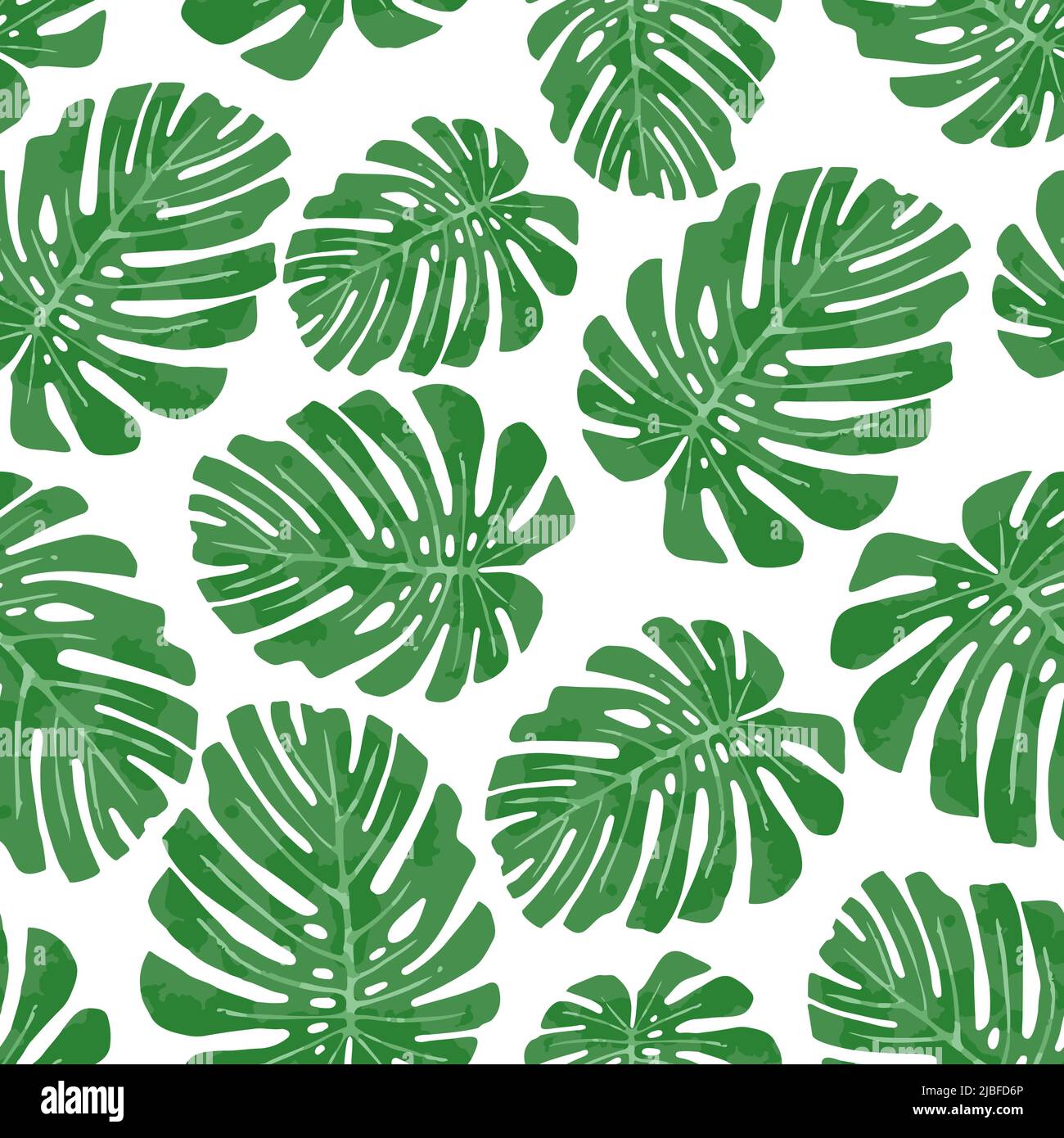 Monstera tropic leaves watercolor Stock Vector Images - Alamy