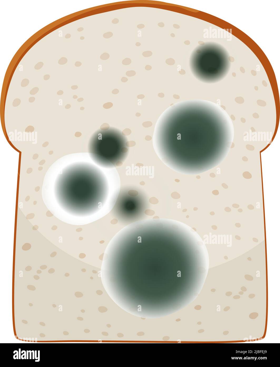 A piece of bread with mold illustration Stock Vector Image & Art - Alamy