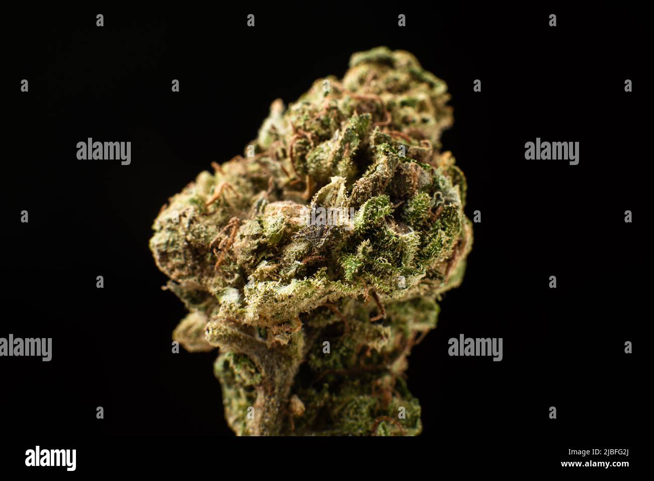 Marijuana flower bud macro close-up on a black background. Microdosing ...