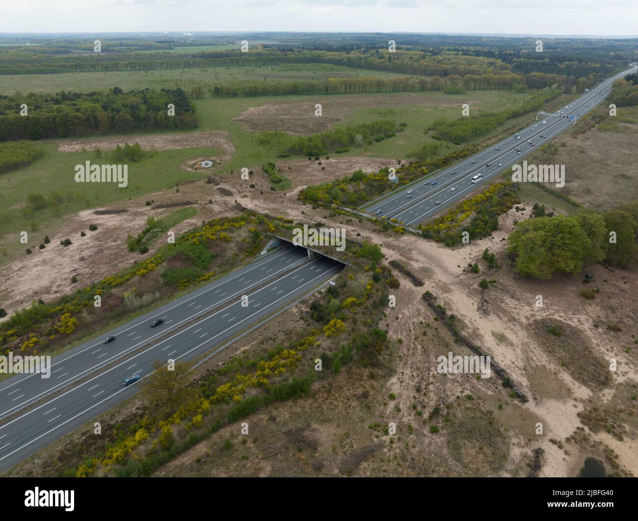 Ecoduct ecopassage or animal bridge crossing over the A12 highway in ...