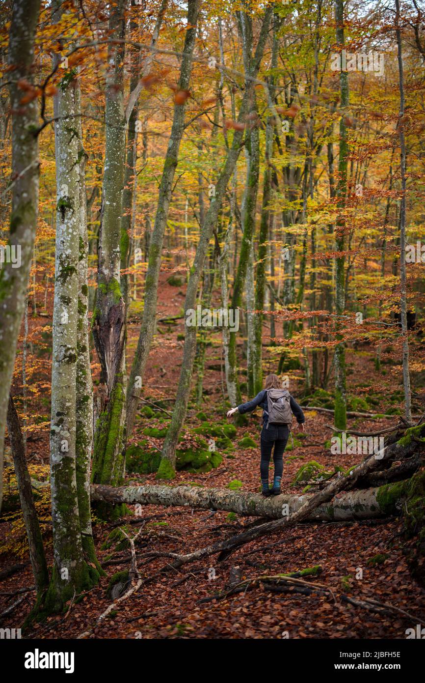 Balance halen hi-res stock photography and images - Alamy