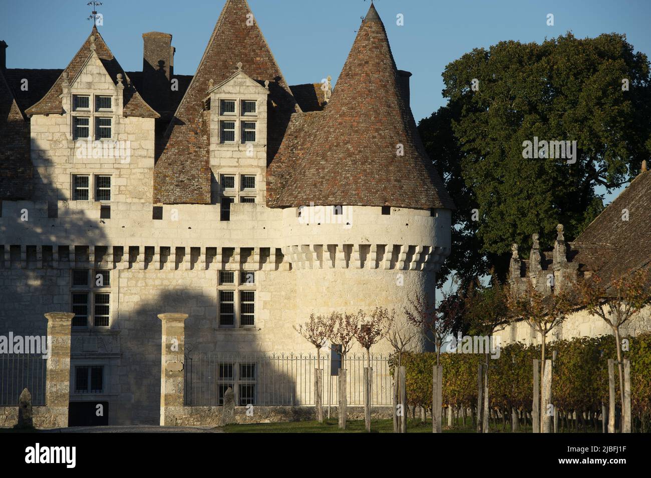 FRANCE, DORDOGNE (24) PERIGORD POURPRE. MONBAZILLAC. THE CASTLE AND THE ...